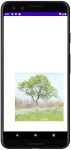 [Android] ImageView ScaleType 画像をScreenにフィットさせる
