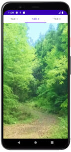 [Android] ViewPager2 でTabLayoutでタブ付きスワイプビューの作成